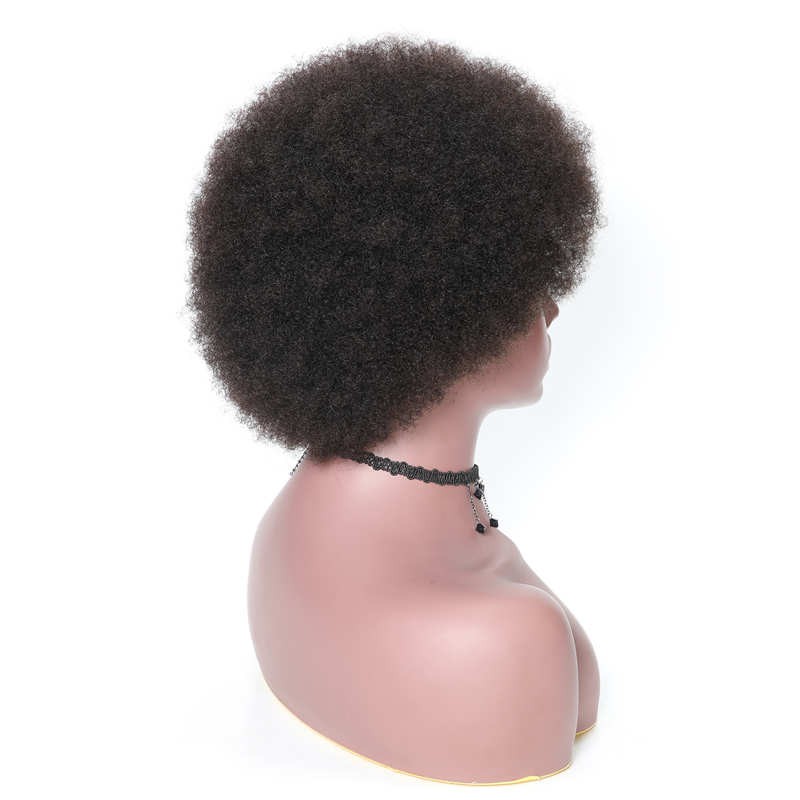 Beautyforever Lace Front Short Human Hair Curly Afro Wigs On Sale